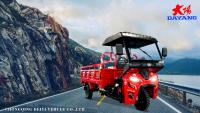 China DAYANG 300CC Three Wheel Motorcycle Water Cooled Engine and Petrol Gasoline Fuel Type for sale