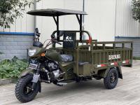 China Drum Brake and 12V System Integrated Africa Heavy Load Motor Cargo Tricycle 250CC for sale