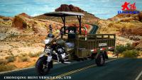 China Drum Brake and 12V System Integrated Africa Heavy Load Motor Cargo Tricycle 250CC for sale