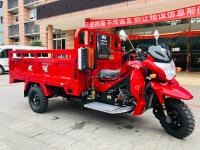 China 250CC Gasoline Water Cooled Motorized Tricycles 2021 Design for Adult Commuters for sale