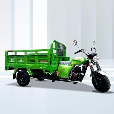 China 151CC Heavy Loading Three Wheel Motorcycle Cargo Tricycle for Cargo Transportation for sale