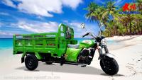 China 151CC Heavy Loading Three Wheel Motorcycle Cargo Tricycle for Cargo Transportation for sale