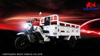 China Open Body Type 250CC Water Cooled Drum Brake 3 Wheels Motorcycle for Heavy Load Cargo for sale