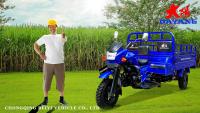 China 200CC/250CC/300CC Heavy Loading Truck Cargo Tricycle Water Cooler Motorcycle by Lifan for sale