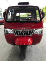 China 200cc 800 W Enclosed Cargo Tricycle 3 Wheel Motorcycle for Adult CCC Origin Full-closed Type for sale