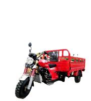 China 175CC Engine Water-cooled Three Wheeler Tricycle Motorcycle for Light Loading 3500 mm for sale