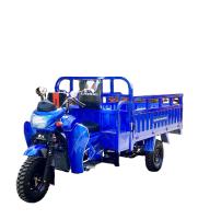 China 300cc Petrol Gasoline Motorized Cargo Tricycles 3wheels Motorcycle Customized 5.00-12 for sale