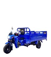 China 300cc Petrol Gasoline Motorized Cargo Tricycles 3wheels Motorcycle Customized 5.00-12 for sale
