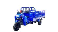 China 300cc Petrol Gasoline Motorized Cargo Tricycles 3wheels Motorcycle Customized 5.00-12 for sale