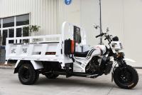 China Petrol Gasoline 151CC 3 Wheel Cargo Tricycle for Adult Transportation Motorized 5.00-12 for sale