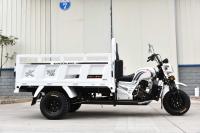 China Petrol Gasoline 151CC 3 Wheel Cargo Tricycle for Adult Transportation Motorized 5.00-12 for sale
