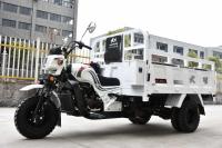 China Petrol Gasoline 151CC 3 Wheel Cargo Tricycle for Adult Transportation Motorized 5.00-12 for sale