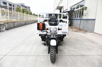 China Petrol Gasoline 151CC 3 Wheel Cargo Tricycle for Adult Transportation Motorized 5.00-12 for sale