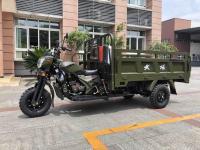 China Customized Power Wheels 200CC/250CC/300CC 3 Wheels Motorcycle Tricycle with Green Body for sale