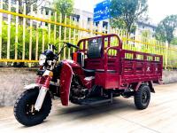 China Powerful 175CC/200CC/250CC Light Loading Trike Motorized Cargo Tricycle for Loads for sale