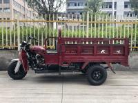 China Powerful 175CC/200CC/250CC Light Loading Trike Motorized Cargo Tricycle for Loads for sale