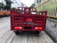 China Powerful 175CC/200CC/250CC Light Loading Trike Motorized Cargo Tricycle for Loads for sale