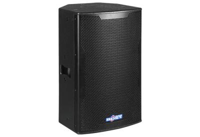 China 12 inch professional outdoor pa speaker system BP-12 for sale