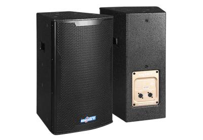 China 10 inch professional loudspeaker 300 W passive two way pa conference speaker MT-10 for sale