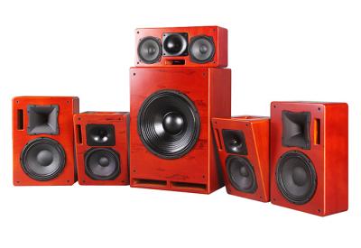 China 10 inch main channel 5.1 home theater ktv speaker cinema speaker system FS10 for sale