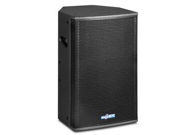China 10 inch professional loudspeaker passive two way pa stage speaker RF-10 for sale