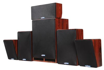 China 10 inch main channel 5.1 home theater ktv speaker cinema system VS10 for sale