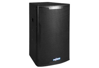 China 300W 10' pro audio loudspeaker  two way pa outdoor stage speaker MT-10 for sale