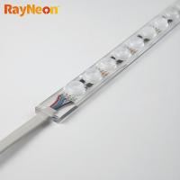 China DC12V 24V Waterproof IP68 PU Neon Flex Swimming Pool Silicone Dimming LED Strip Lights for sale