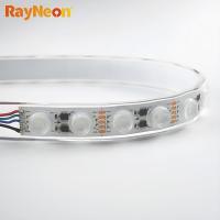 China DC12V 24V Waterproof IP68 PU Neon Flex Swimming Pool Silicone Dimming LED Strip Lights for sale