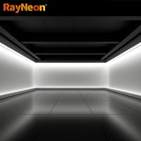 China 16*16 Waterproof IP65 LED Silicone Neon Strips Overhead 24V 2835 Flexible Outdoor Neon Light Strips for sale