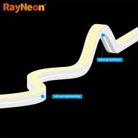 China 3D Bendable Neon Light 16*16mm RGB RGBW Flexible Waterproof IP67 Outdoor LED Wall Washer for sale
