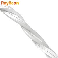 China 08*16mm Waterproof Neon Lights Curved Surface DC12V 24V RGB Silicone Flex LED Neon Signs for sale