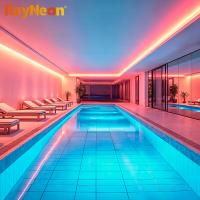 China 12*20mm Flexible RGB LED Neon Light 3000K 4000K 5000K DC24V Silicone 2835 SMD LED Strip for sale