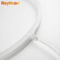China Side View IP65 Waterproof Neon Lights 12*20mm Outdoor Silicone Flexible LED Neon Tube for sale