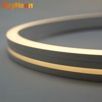 China Side View IP65 Waterproof Neon Lights 12*20mm Outdoor Silicone Flexible LED Neon Tube for sale