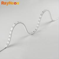 China IP68 Waterproof Flexible Neon LED Strip 24V 24W RGB RGBW Outdoor LED Wall Washer Light for sale