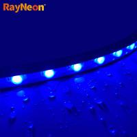 China Silicon Flex LED Wall Washer DC24V DMX512 Dimmable RGBW LED Wall Washer Lights Outdoor IP68 for sale