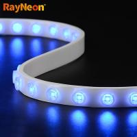 China IP68 Waterproof Flexible Neon LED Strip 24V 24W RGB RGBW Outdoor LED Wall Washer Light for sale