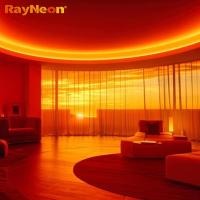 China 10mm Wide RGB COB LED Flexible Strip Lights 24V IP67 Flexible LED Neon Light Strip for sale