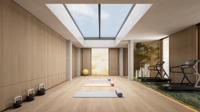 China LARGE-ANGLE BI-FOLD SKYLIGHT for sale