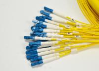 China 24 Core Distribution Jumper Optical Fiber Patch Cord , Fiber Optic Patch Cords for sale