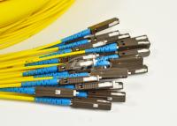 China 24 Core Distribution Jumper Optical Fiber Patch Cord , Fiber Optic Patch Cords for sale