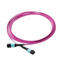China 24 core om4 fiber optic mpo patch cord cable for QSFP for sale