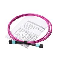 China 24 core om4 fiber optic mpo patch cord cable for QSFP for sale