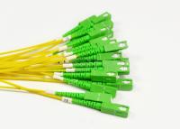 China 24 Core Single Mode Fiber Patch Cord , Fiber Optic Assemblies SM MU / APC - SC / APC for sale