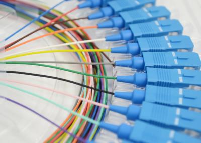 China 12 Cores SC Singlemode Optical Fiber Patch Cord For Optical Test Equipment for sale