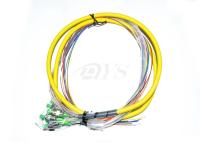 China 12 Core FC / APC 9 / 125 Optical Fiber Patch Cord bundle pigtail for sale