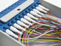 China 24 Cores Fiber Optic Patchcord MPO / MTP Cassette 6.0mm Fiber Jacket 50db Return Loss for sale