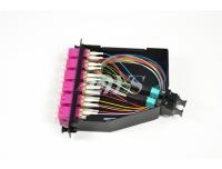 China Waterproof 40G OM3 MPO/MTP Optical Fiber Patch Cord Jumper Durable Long Lifespan for sale