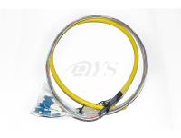 China 12 fibres breakout cables LC pigtails Optical Fiber Patch Cord for sale